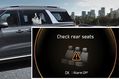 Kia Carnival at Wayne Phillis Kia